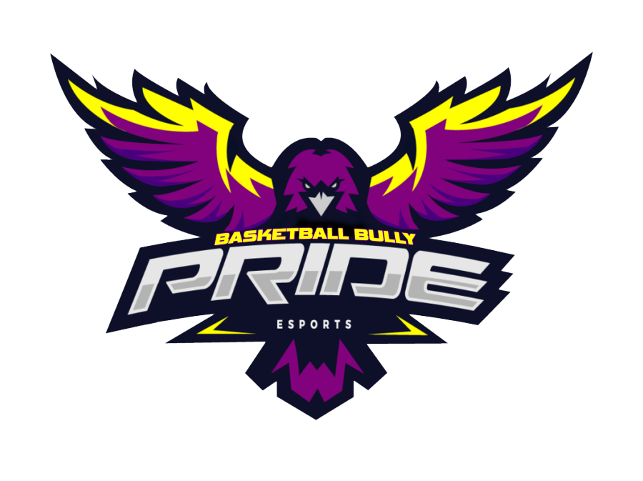 Firebirds - Basketball Bully