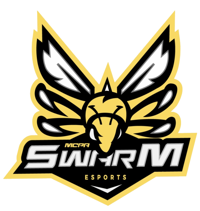 Swarm - Basketball Bully